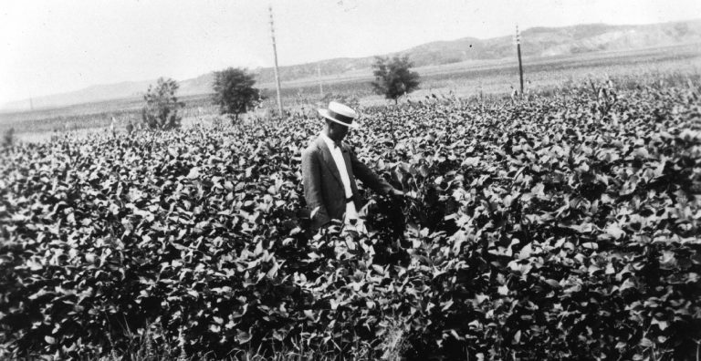 American Soybean Association 100th Anniversary