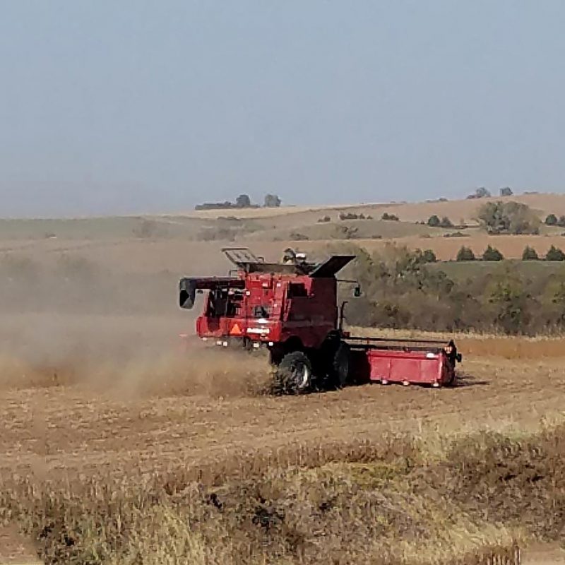Boswell Farm – ASA 100 Years